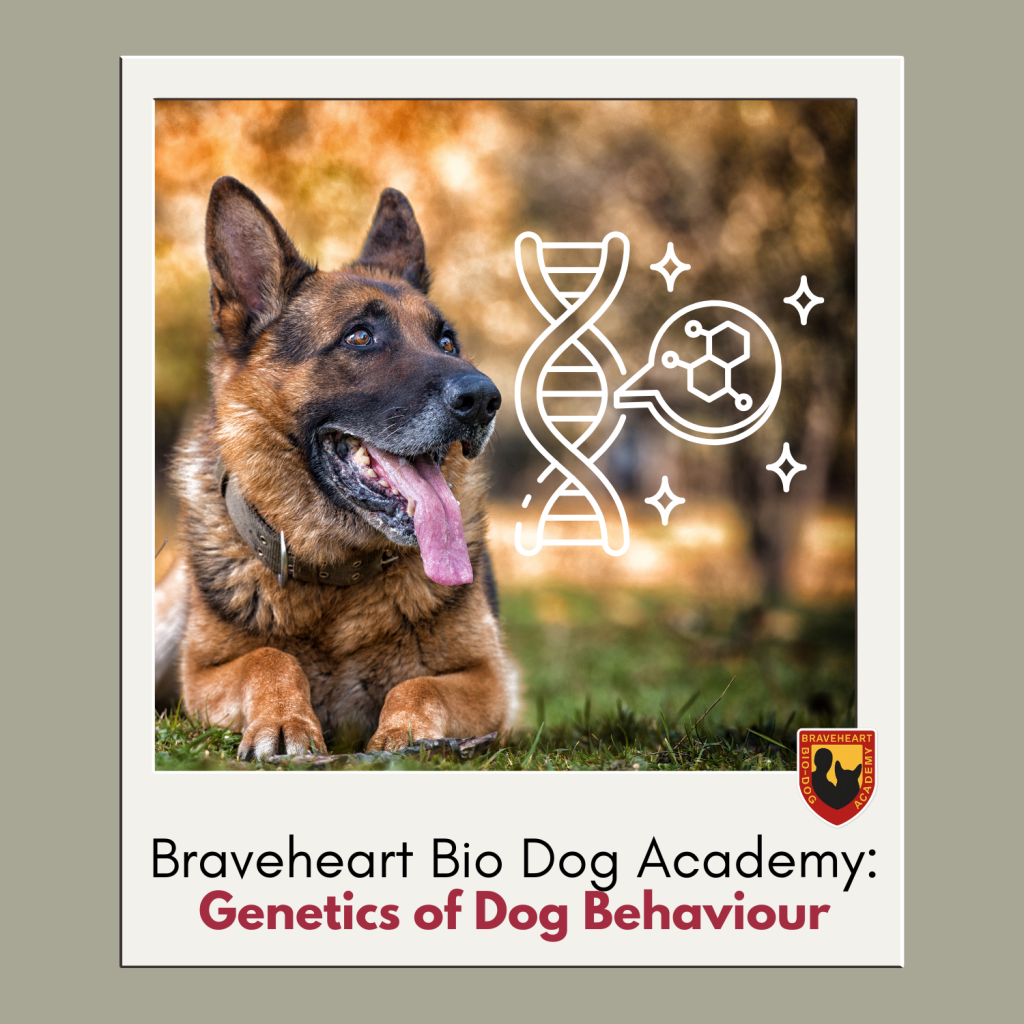 Genetics of Dog Behaviour | Braveheart Bio-Dog Academy - Braveheart Bio ...